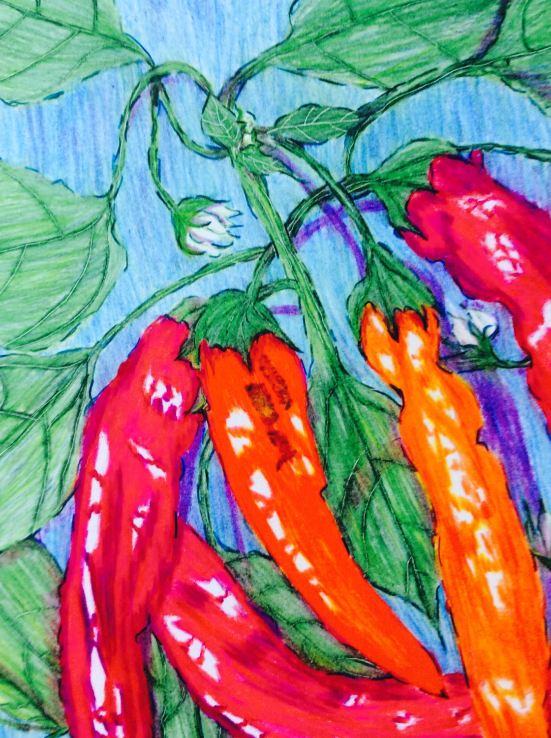 Pepper Plant Print, Kitchen Art, Red Pepper Art, Red and Orange Peppers ...