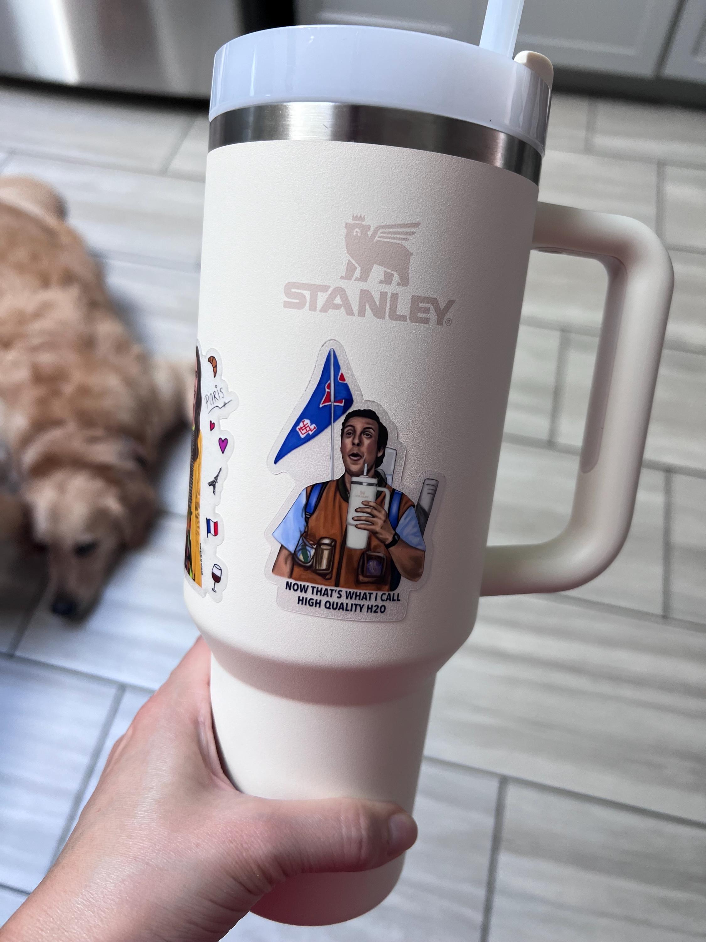 Bobby Boucher H2o Waterboy With Stanley Cup Vinyl Sticker (matte Finish ...