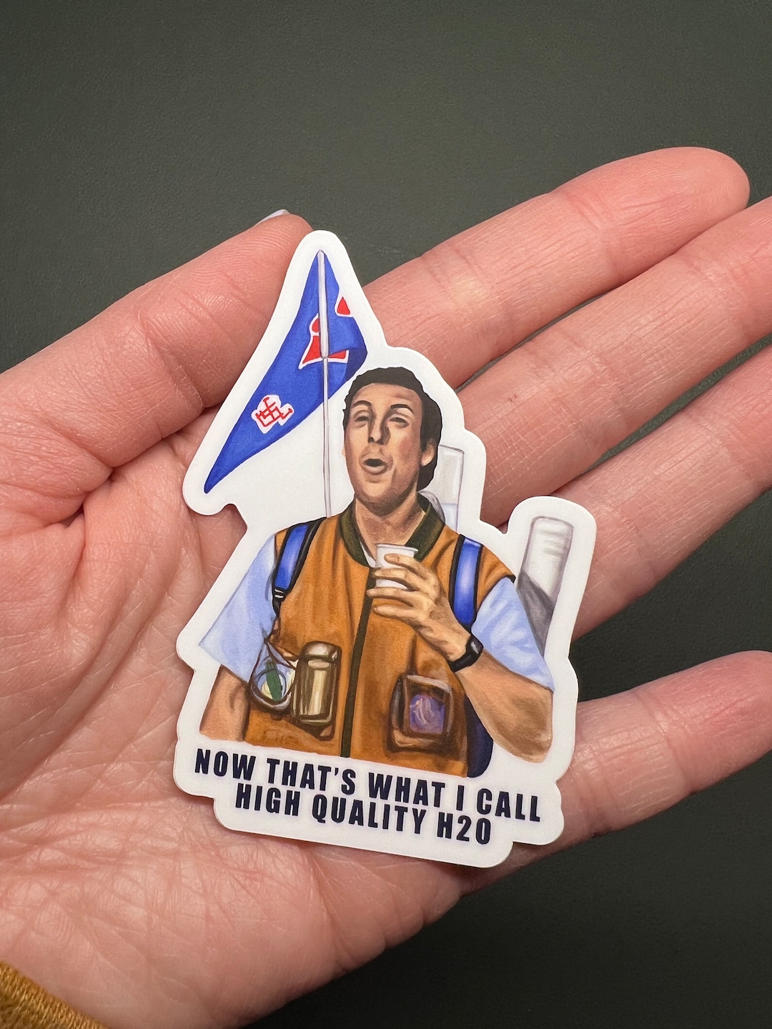 Bobby Boucher H2o Waterboy Vinyl Sticker or Magnet (matte Finish) - Etsy