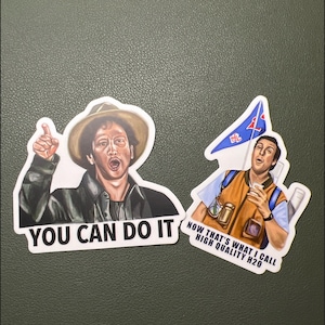 Bobby Boucher H2o Waterboy Vinyl Sticker or Magnet (matte Finish) - Etsy