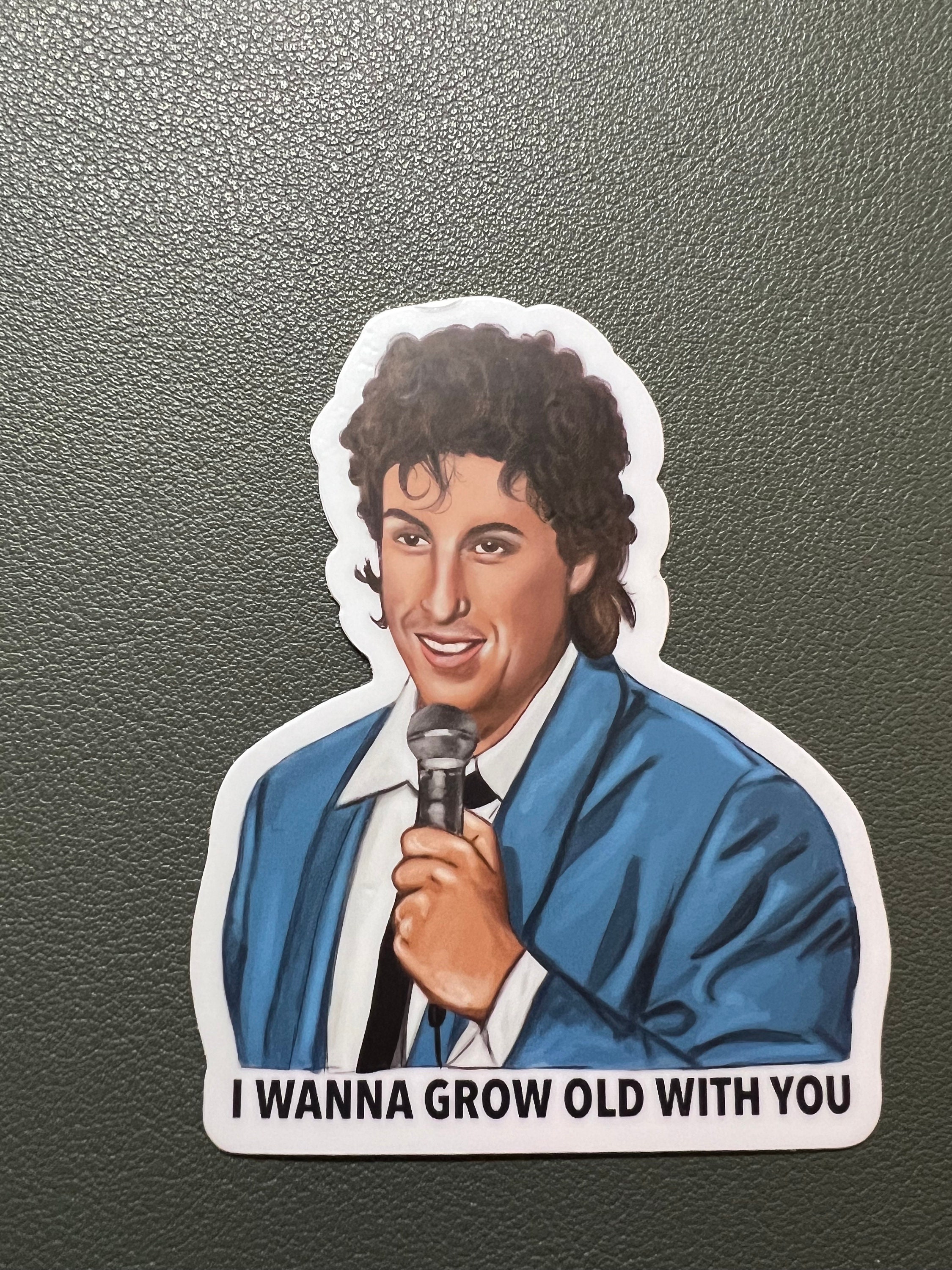 The Wedding Singer Love Vinyl Sticker matte Finish - Etsy