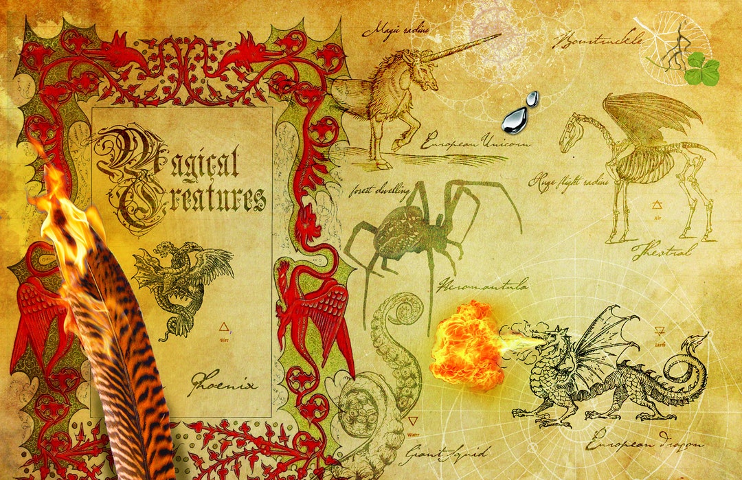 Magical Creatures Poster - Etsy