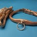 Traditional Japanese Akita Collar and Leash for Dog Show - Etsy