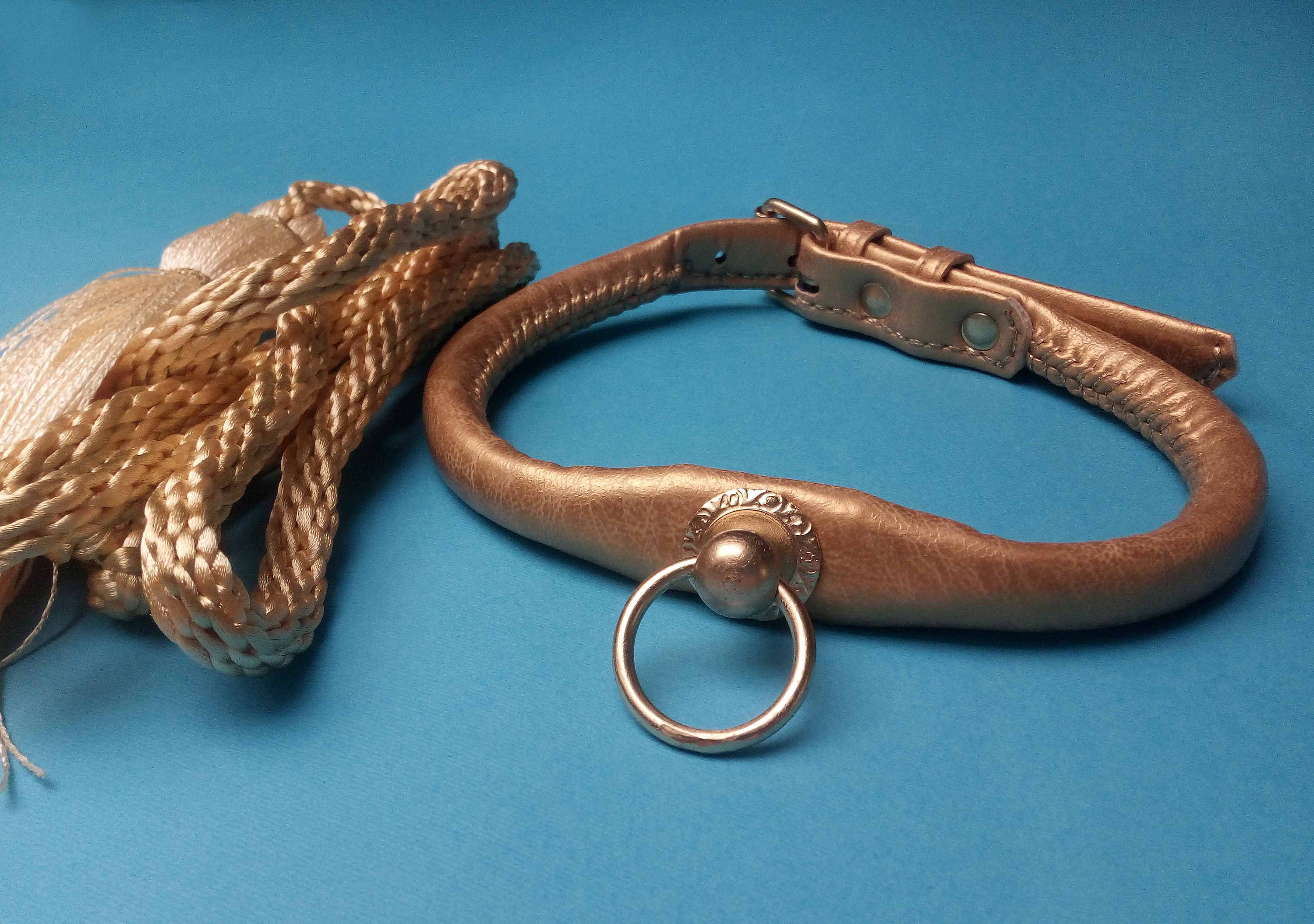 Traditional Japanese Akita Collar and Leash for Dog Show - Etsy