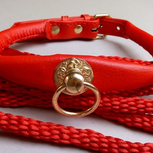 Traditional Japanese Akita Collar and Leash for Dog Show - Etsy