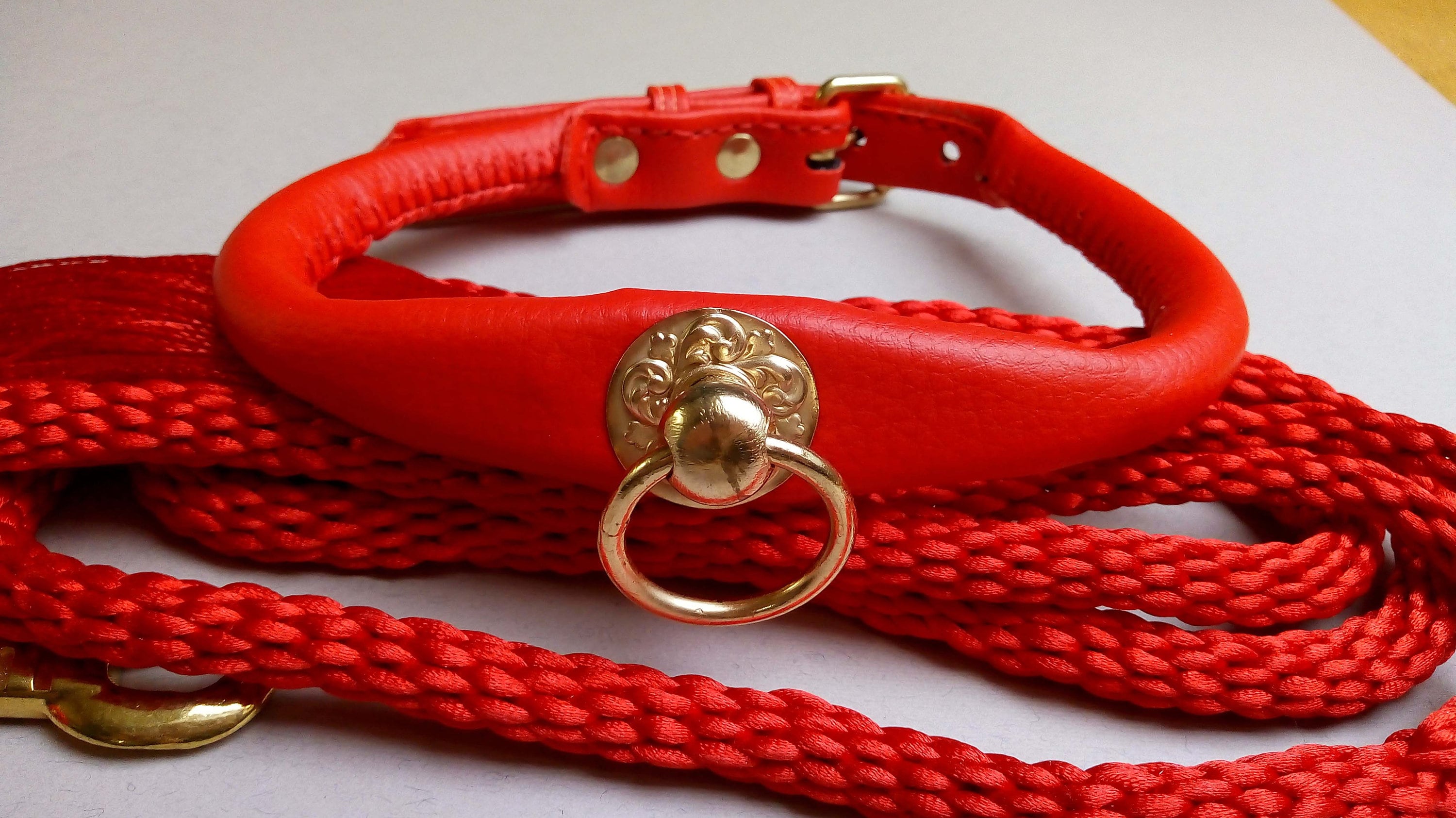 Traditional Japanese Akita Collar and Leash for Dog Show - Etsy