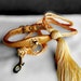 Traditional Japanese Akita Collar and Leash for Dog Show - Etsy