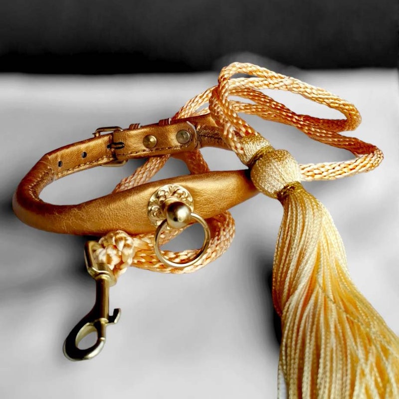 Shiba Inu Dog Shows - Etsy UK