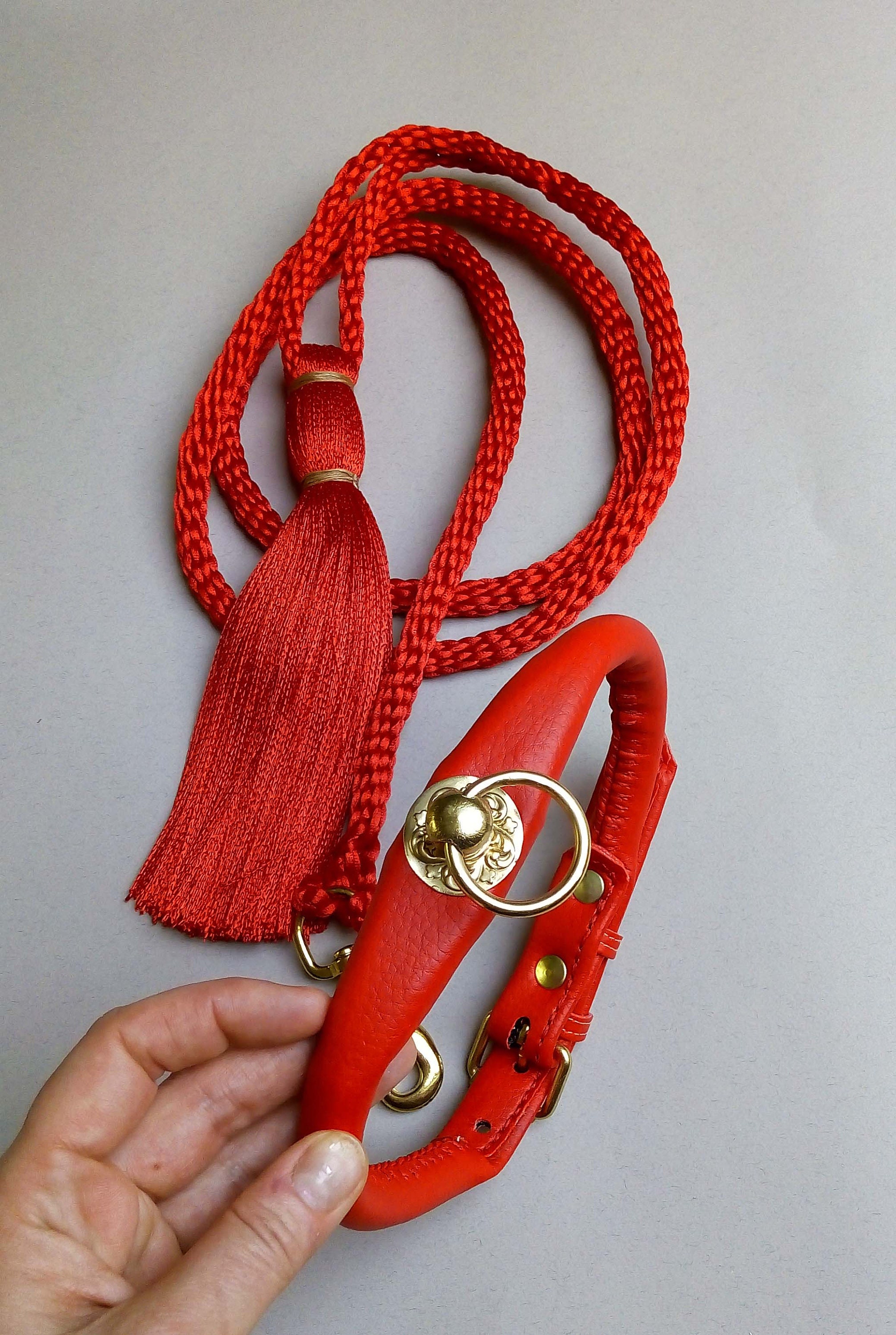 Traditional Japanese Akita Collar and Leash for Dog Show - Etsy