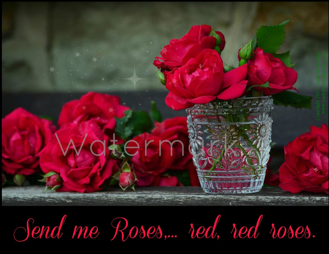 Printable Red Roses, Red Roses Digital Download, Red Rose Digital Photo ...