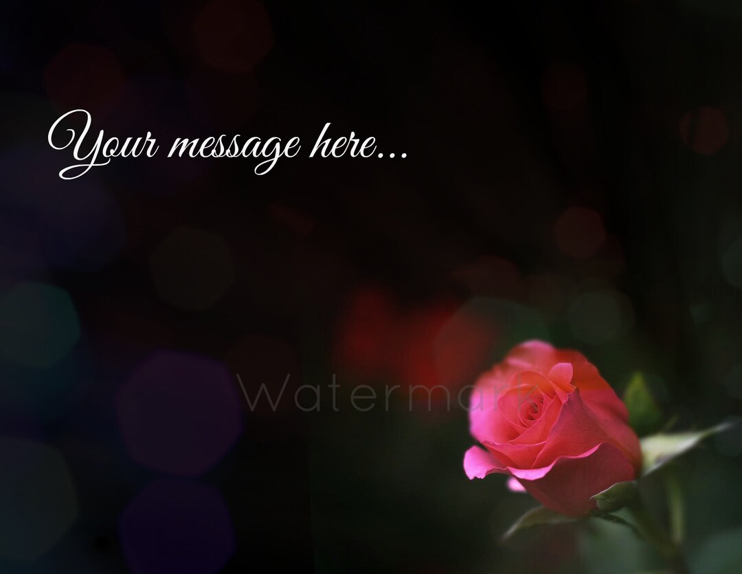 Pink Rose Digital Art, Pink Rose With Black Background, Personalize ...