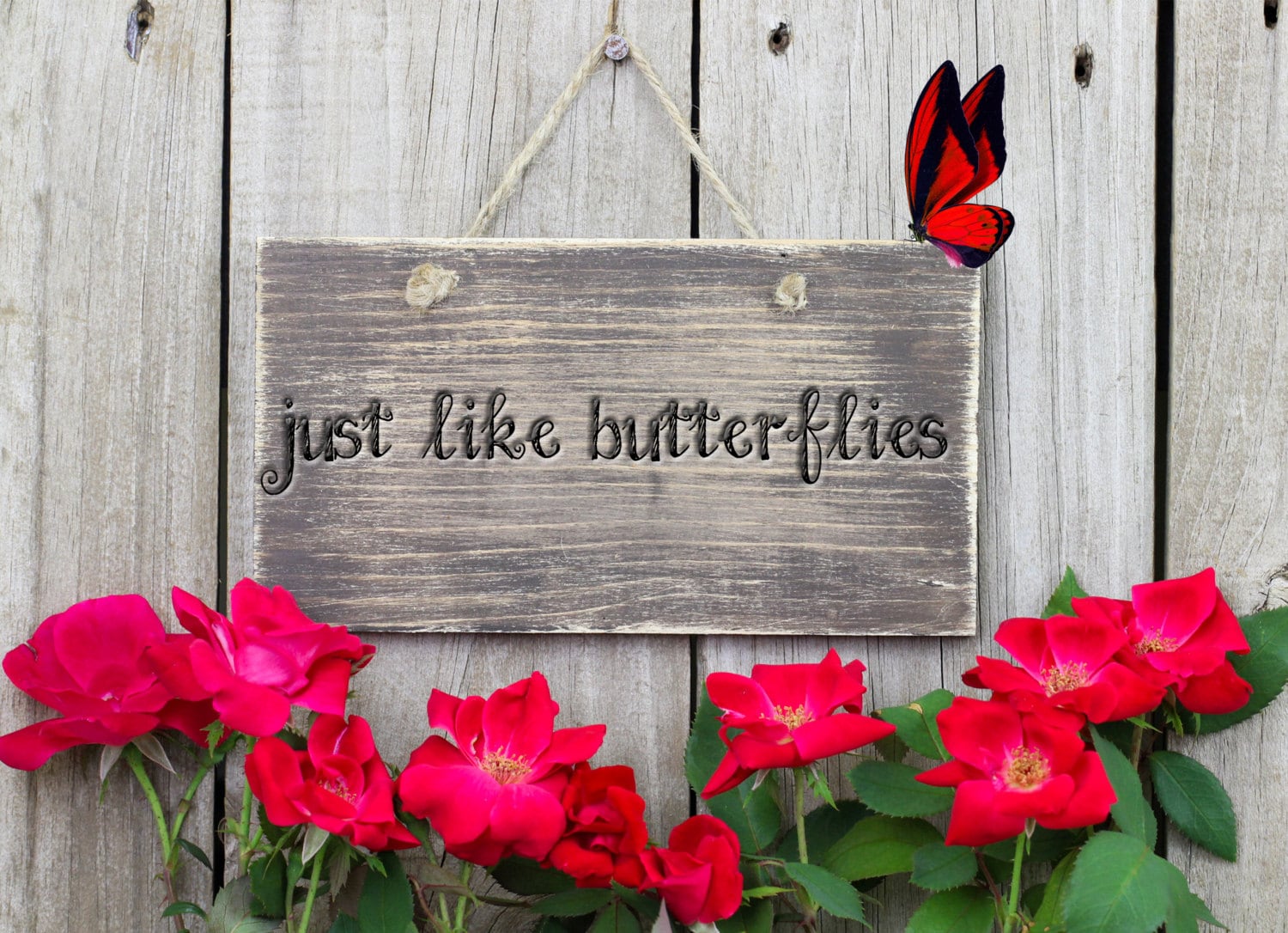 Congratulations Card Butterflies - Etsy