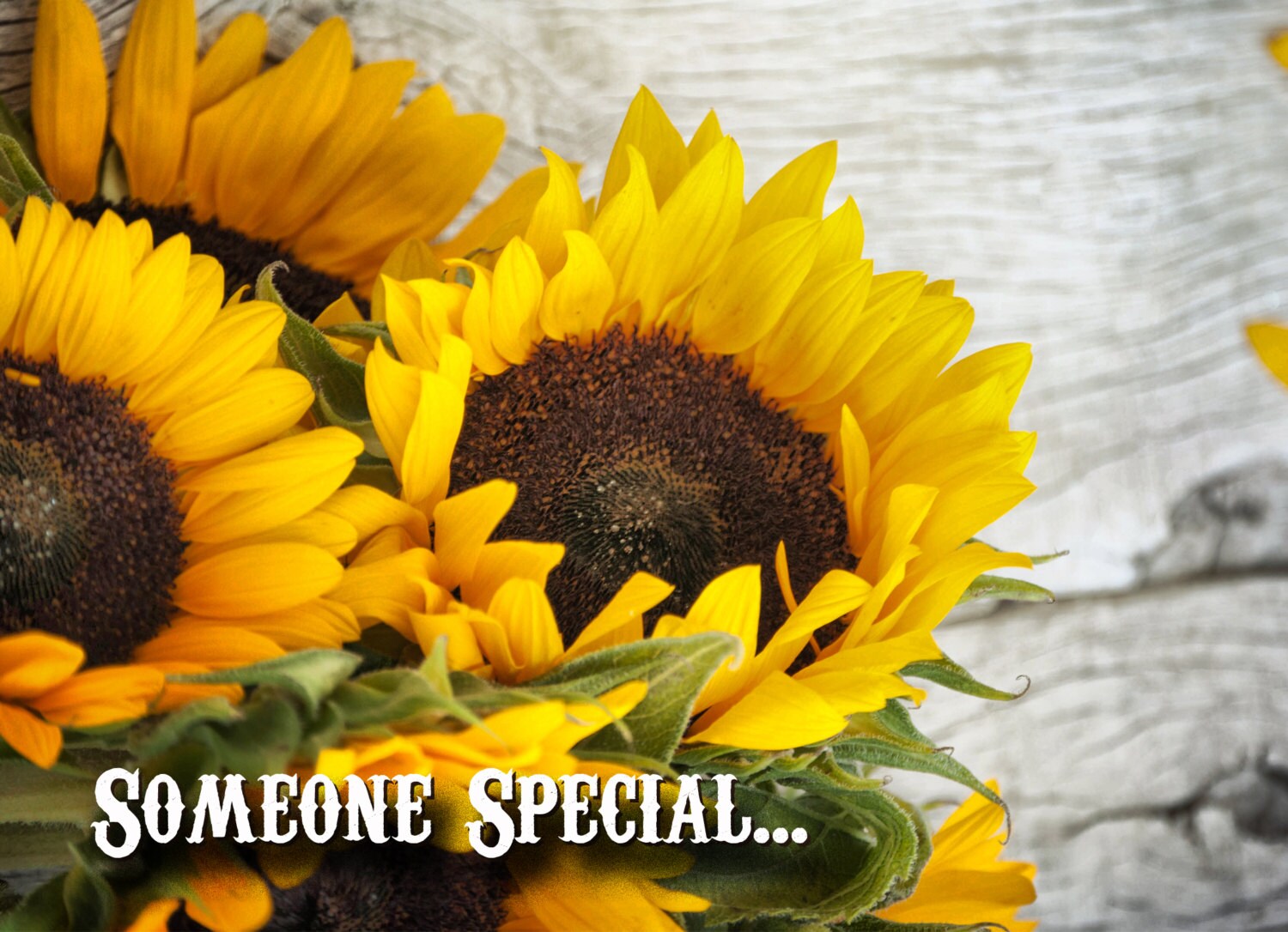 Friendship Card Someone Special - Etsy