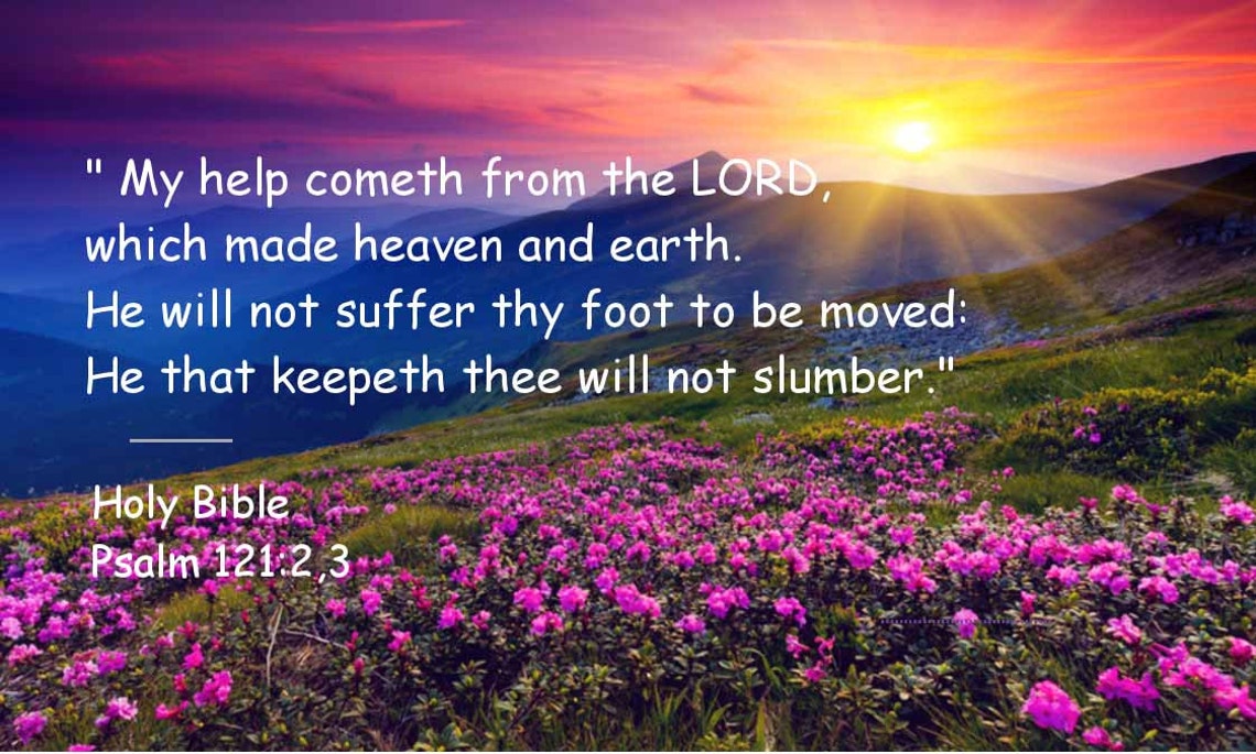 Buzz Scripture Cards for Bible Study God's Promises. Need - Etsy