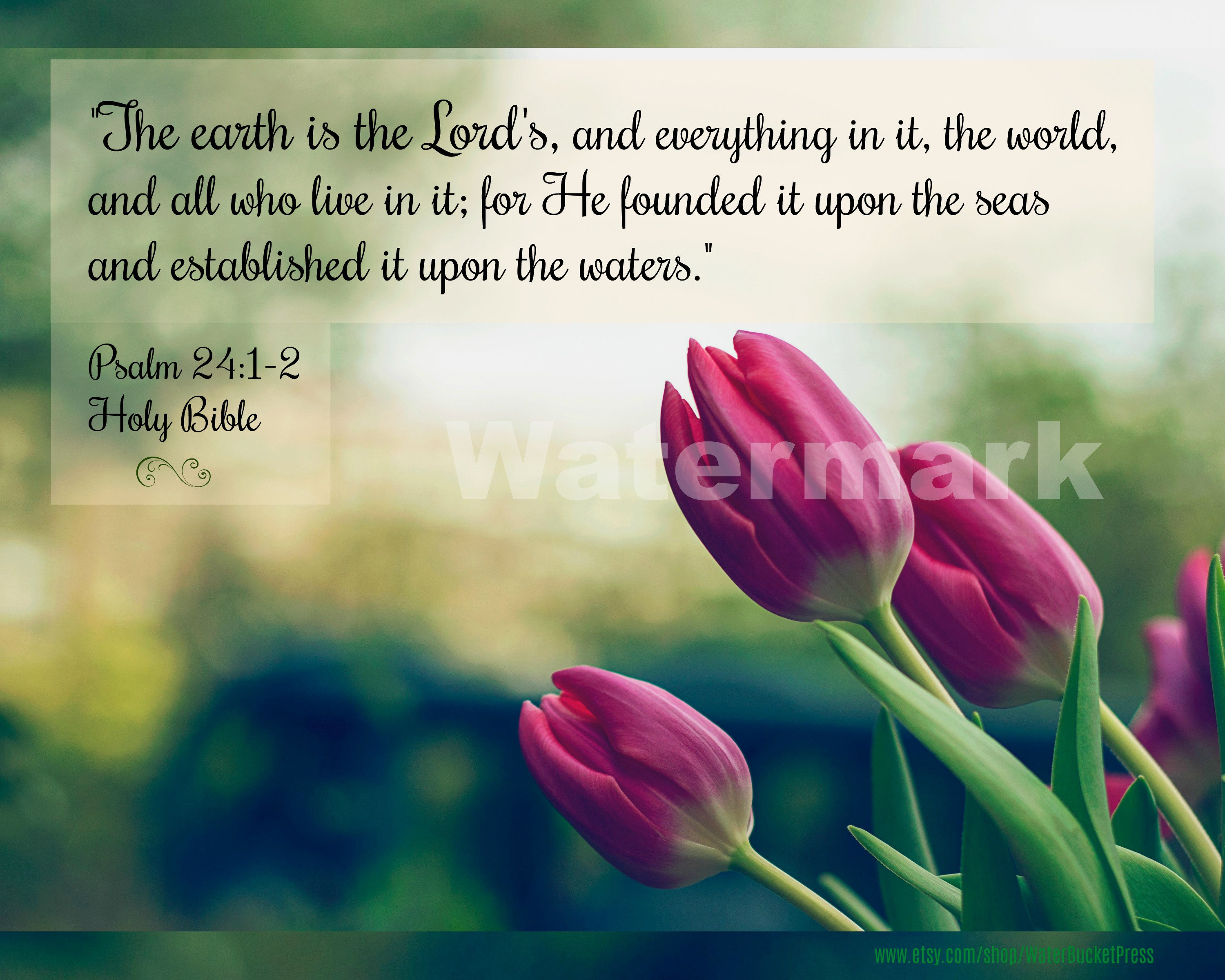 Scripture Screensavers