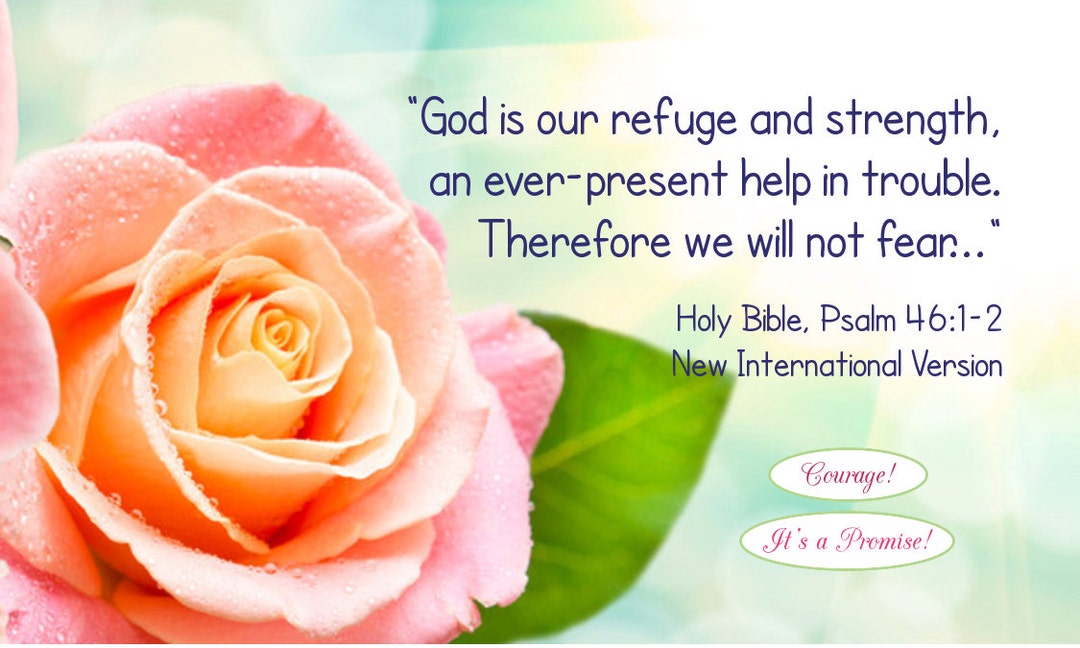 Buzz Scripture Cards for Bible Study, Memorization, Encouragement ...