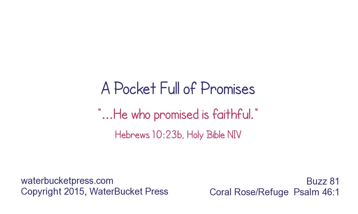 Buzz Scripture Cards for Bible Study, Memorization, Encouragement ...