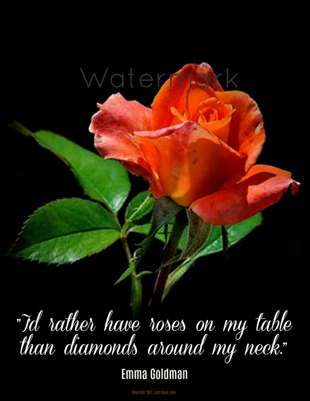 Printable Red Rose, Red Rose Digital Art, Red Rose Photo Download, Red ...