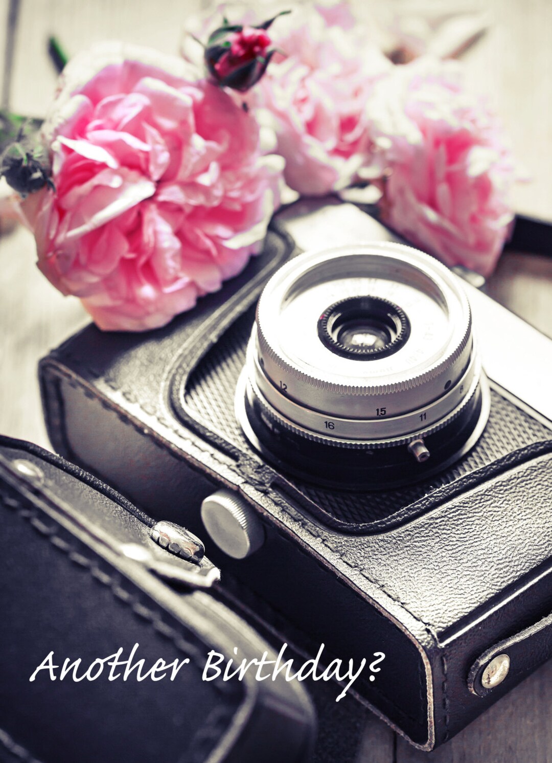 Birthday Card Camera - Etsy