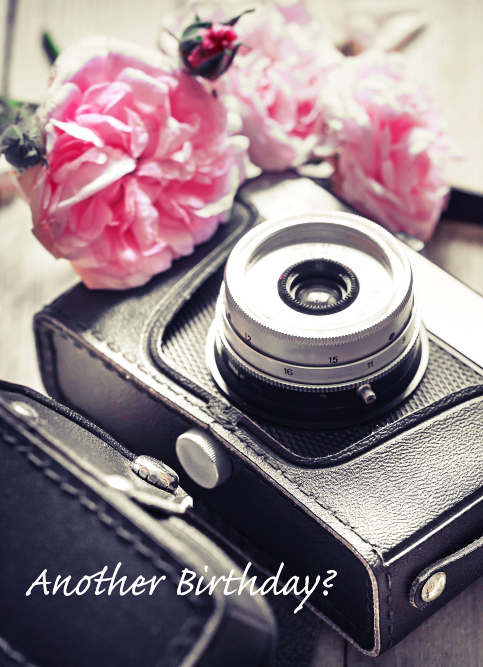 Birthday Card Camera - Etsy