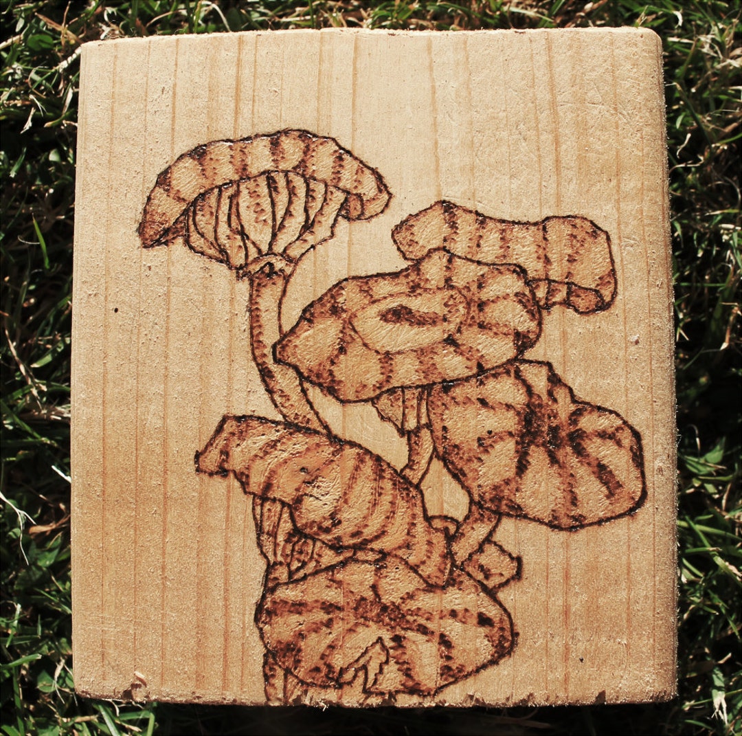 Mushroom Woodburning - Etsy