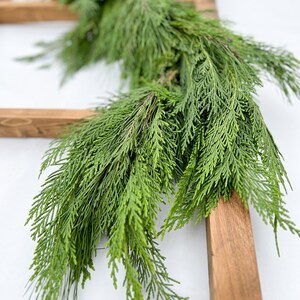 Leyland Cypress and Pine Garland: Fresh Cypress and Pine Garland for ...