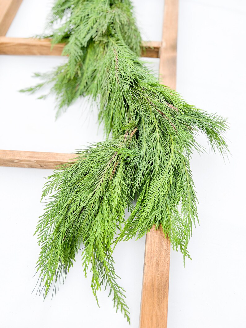 Fresh Leyland Cypress and Pine Garland: Christmas Table Greenery - Etsy