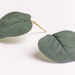 Flower Stem for Wedding Cake Decor - Etsy