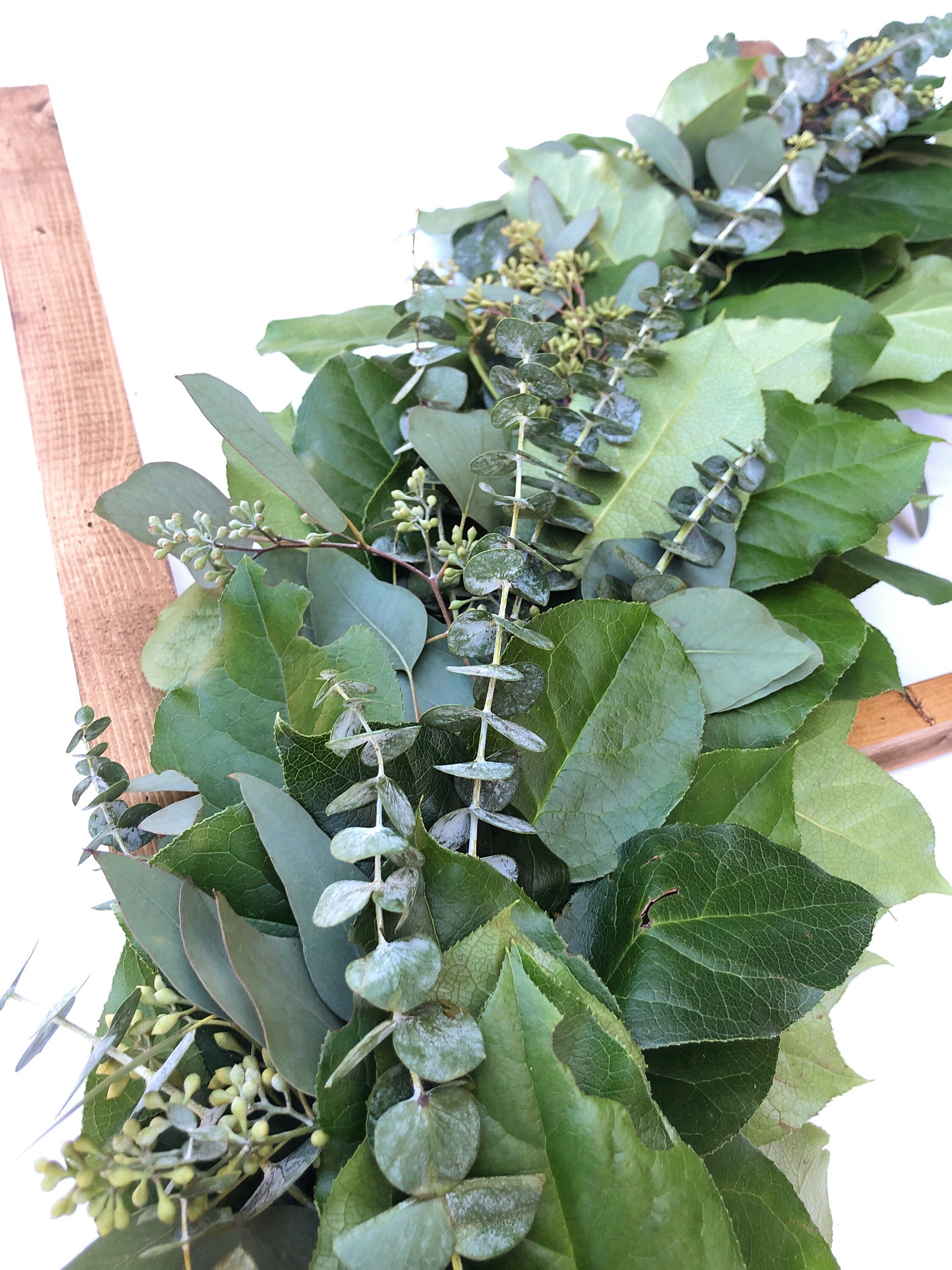 Fresh Real Greenery Garland Baby Blue Eucalyptus Seeded - Etsy