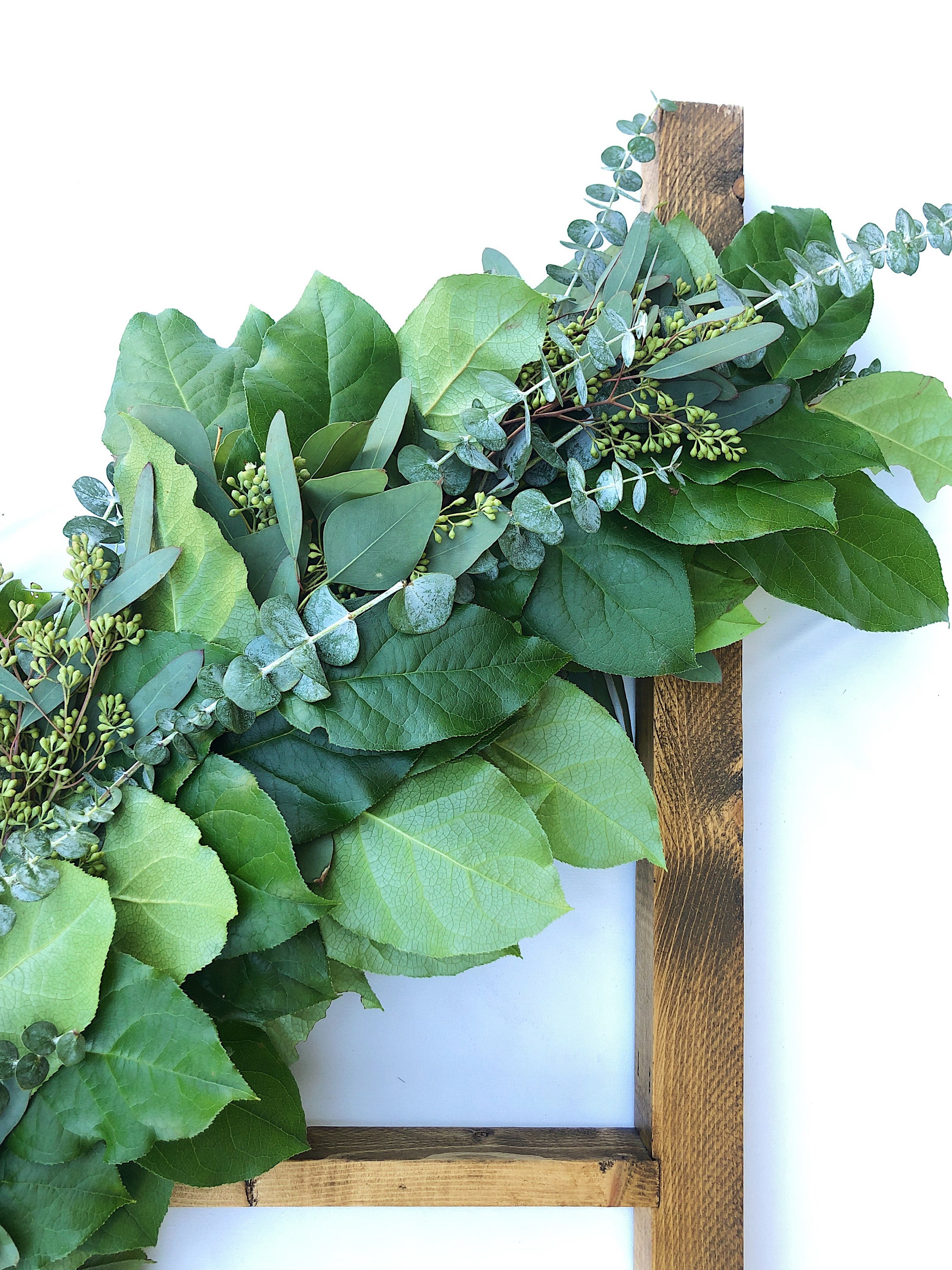 Fresh Real Greenery Garland Baby Blue Eucalyptus Seeded - Etsy