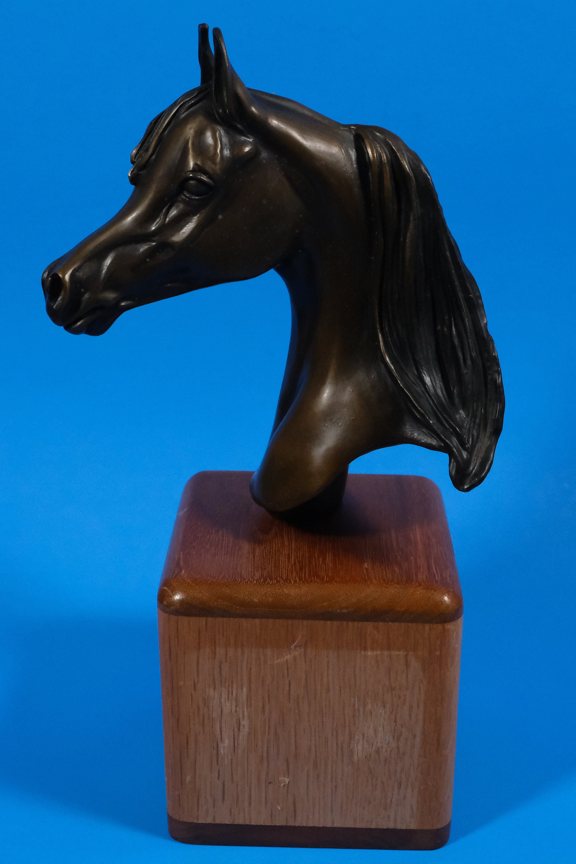 Arabian Horse Trophy Bronze Horse Head Sculpture by Robert A Larum - Etsy