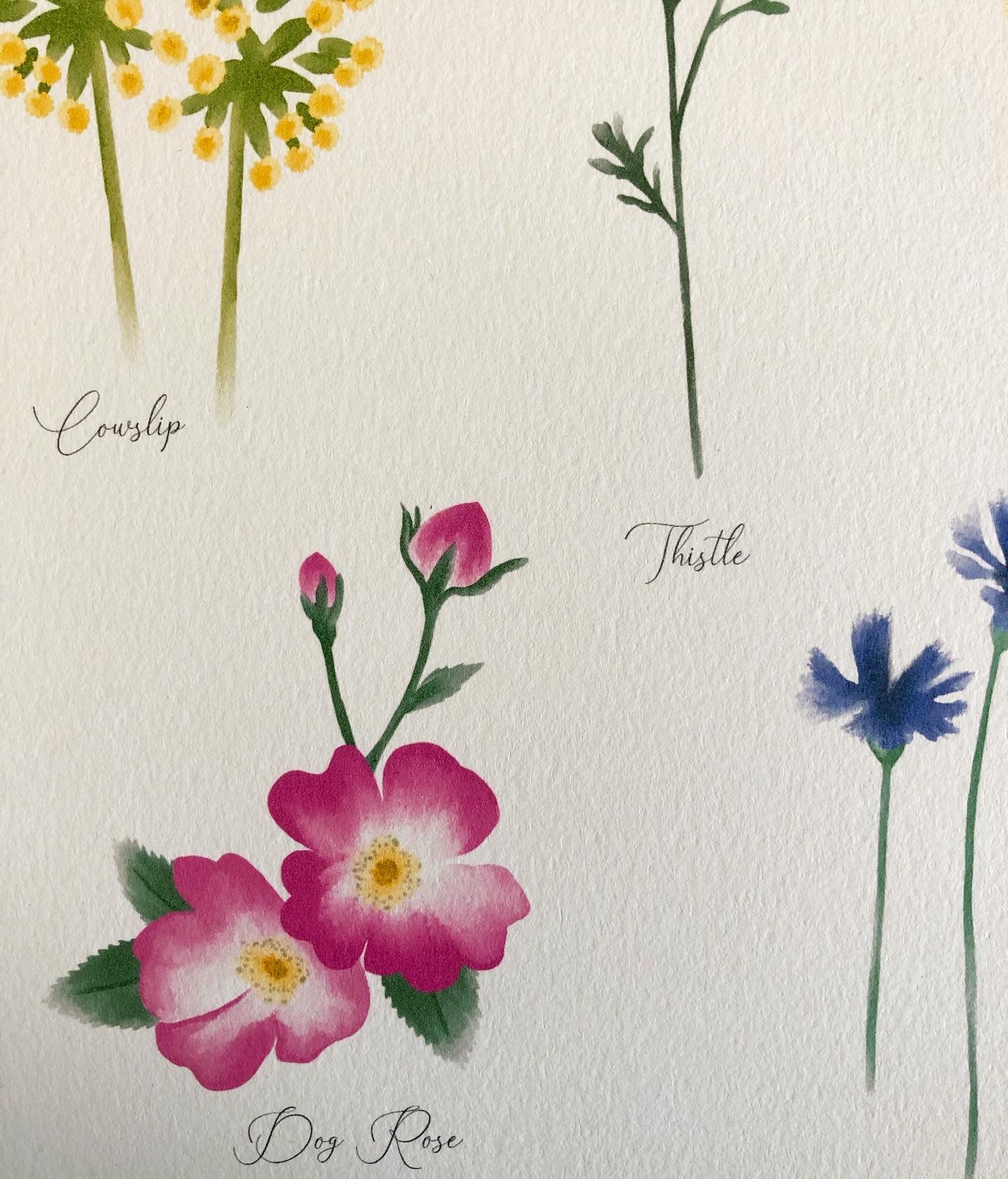 British Wild Flowers Print - Etsy UK