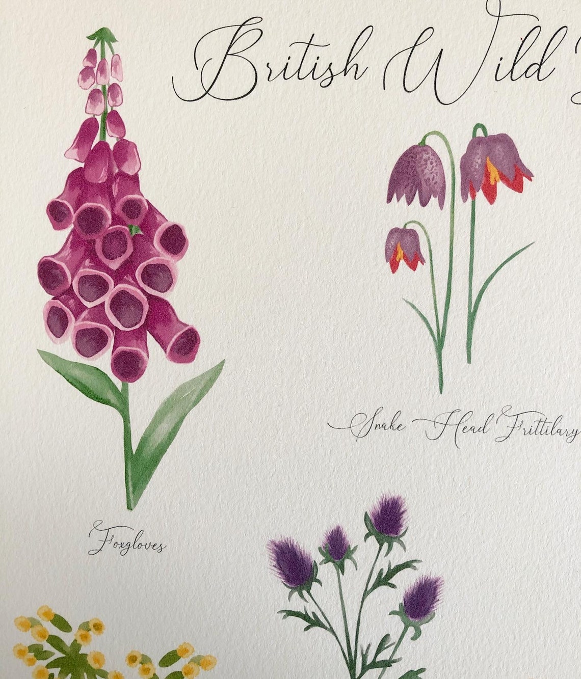British Wild Flowers Print - Etsy UK