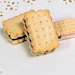 Large Ice Cream Sandwich Keychain - Etsy