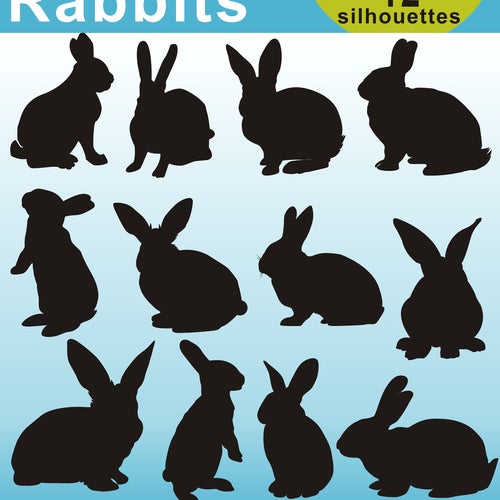 Peter Rabbit PNG Flower Clipart Bunny Sublimation Download | Etsy