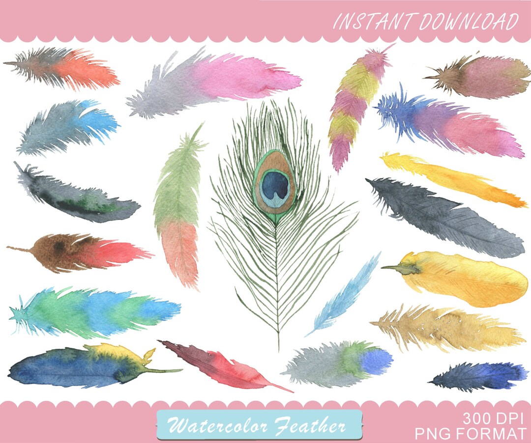 Feather Clipart Feather Clip Art Digital Feathers Tribal - Etsy Australia