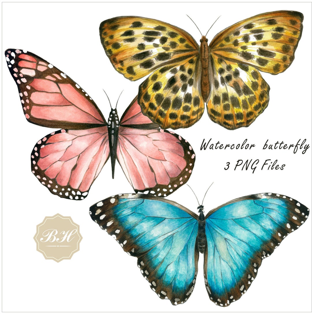 Watercolor Butterfly Clipart Butterfiles Clip Art Watercolor - Etsy