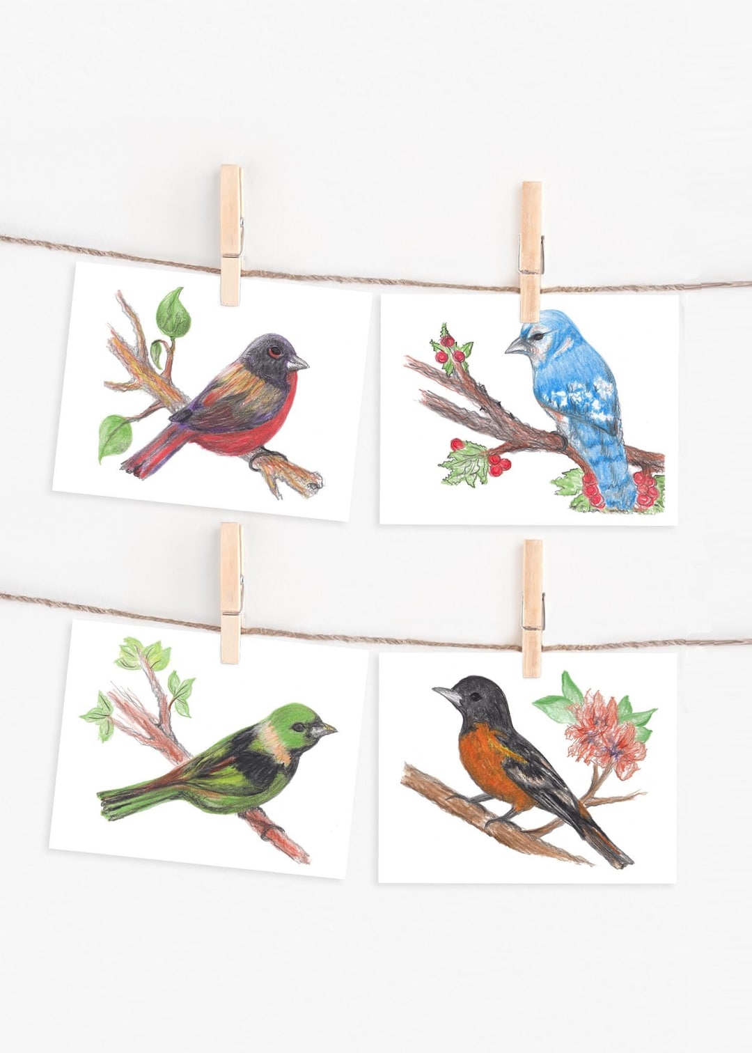 Beautiful Birds Note Set | Assorted Bird Notecards | Notecard Set With ...