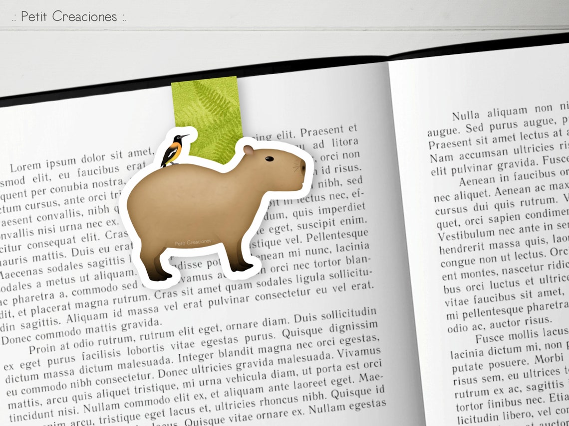 CAPYBARA MAGNETIC BOOKMARK, Handmade Bookmark, Book Accessories, Ideal ...