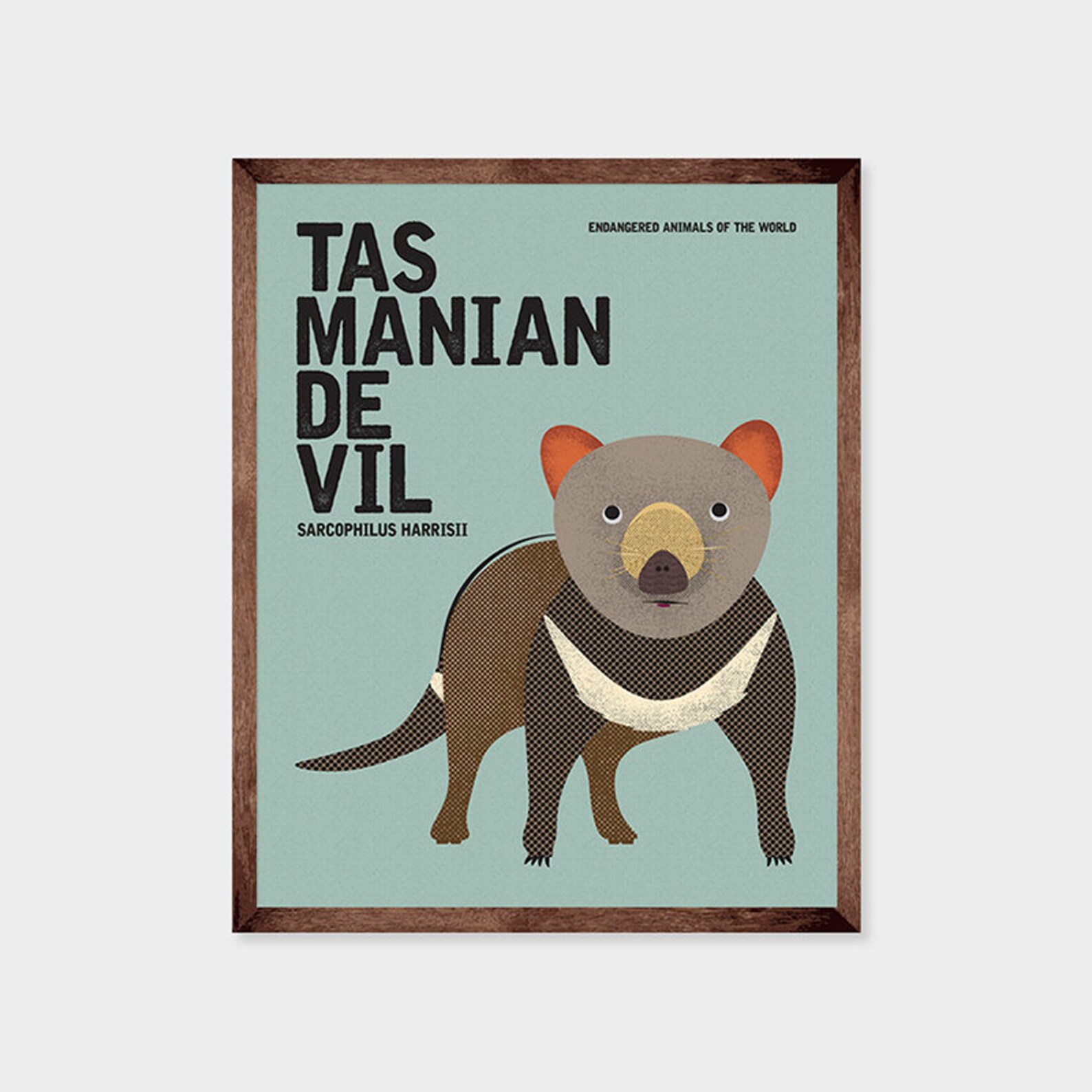 TASMANIAN DEVIL, Australian Animal Print, Endangered Animal Poster Art ...