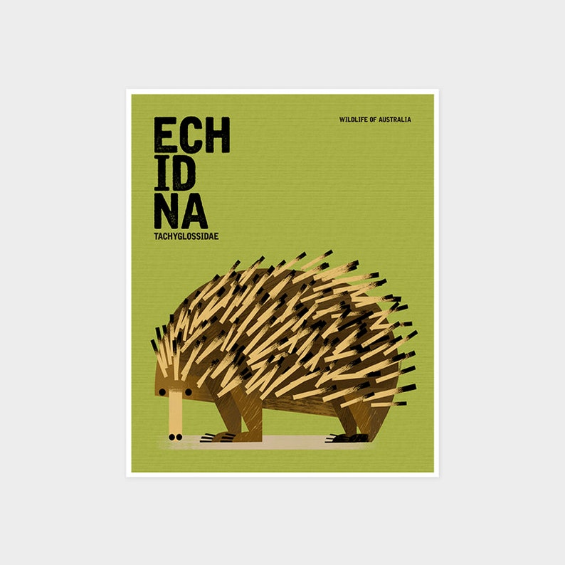 ECHIDNA, Australian Animals, Nursery Art Print, Educational Poster ...