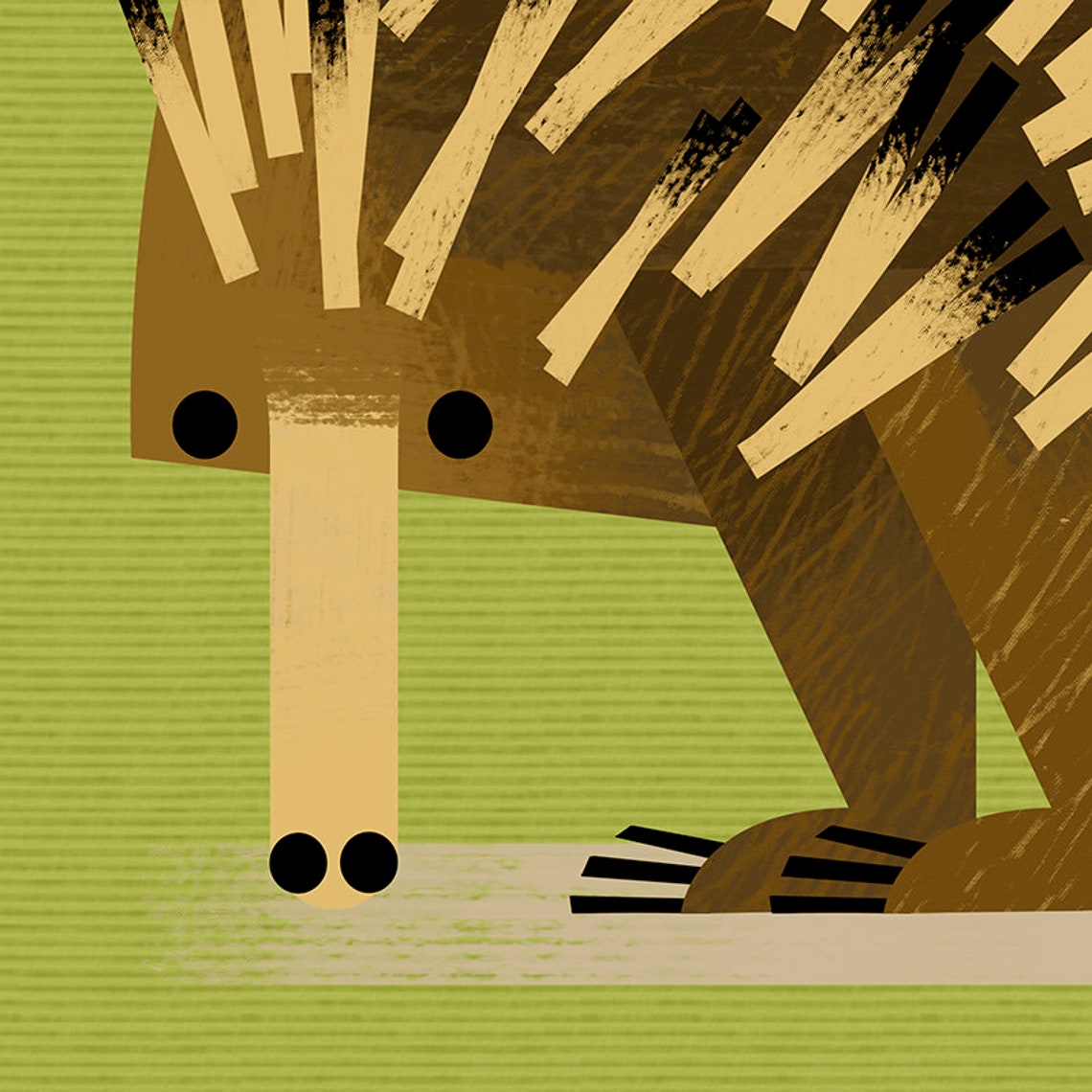 ECHIDNA Australian Animals Nursery Art Print Educational - Etsy Australia