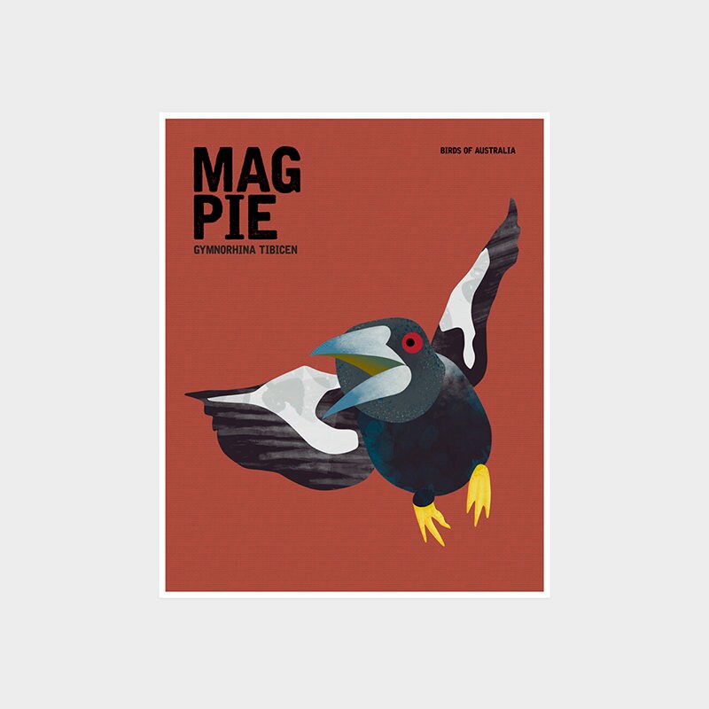 MAGPIE Birds of Australia Australian Art Prints Educational - Etsy ...