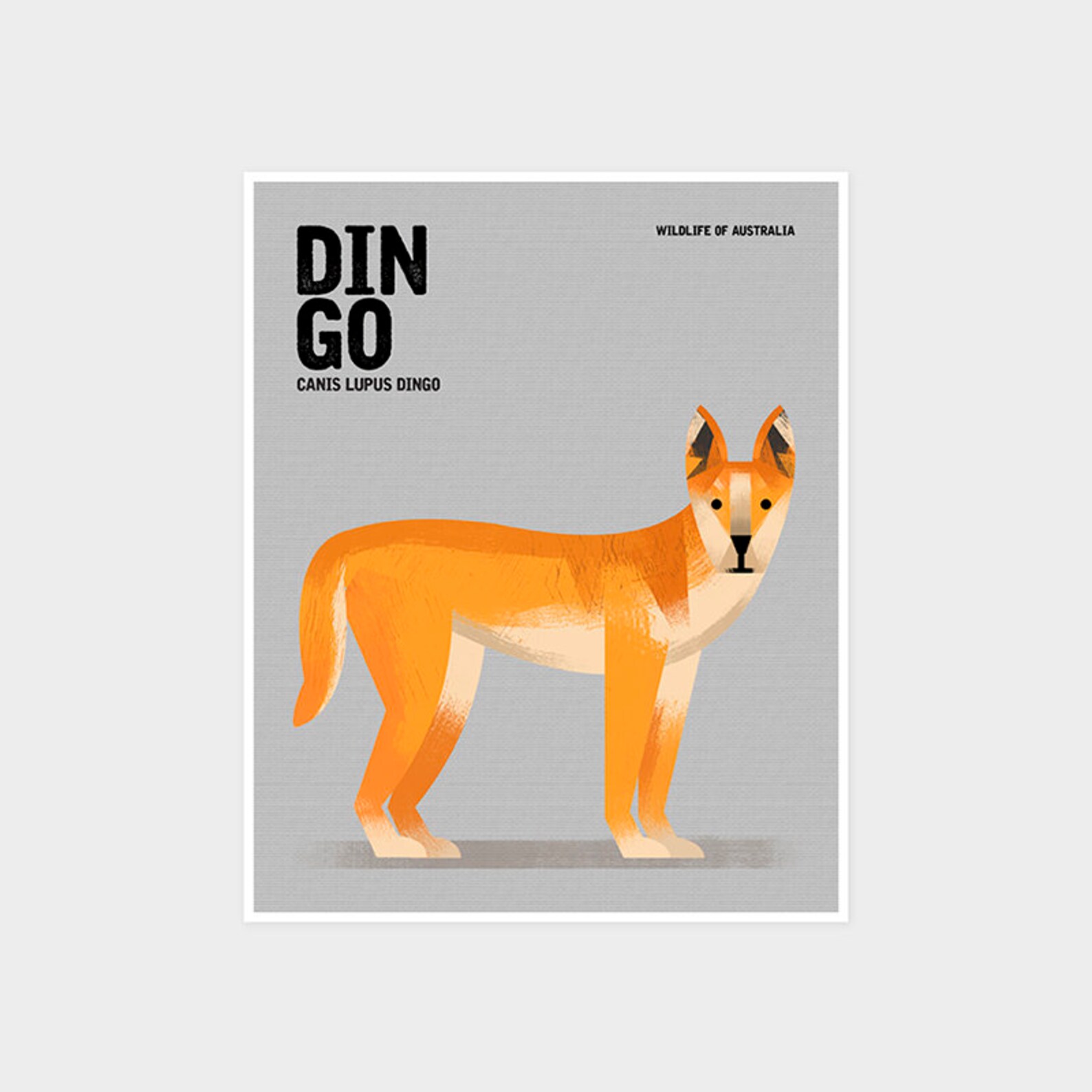 DINGO Wildlife of Australia Nursery Animal Wall Art Print - Etsy Australia