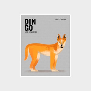DINGO, Wildlife of Australia, Nursery Animal Wall Art Print ...