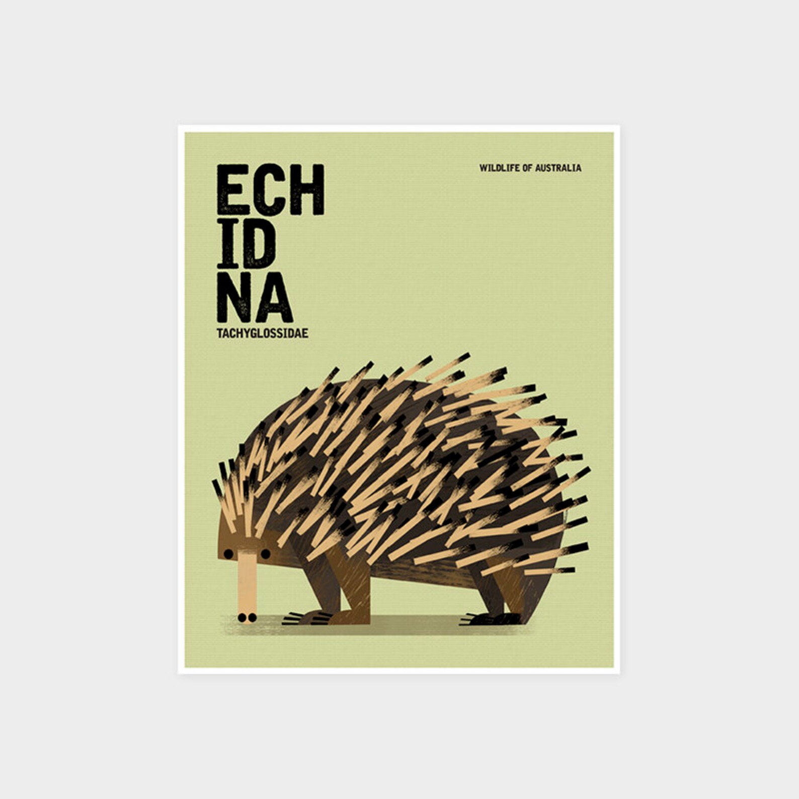 ECHIDNA, Wildlife of Australia, Nursery Animal Wall Art Print ...