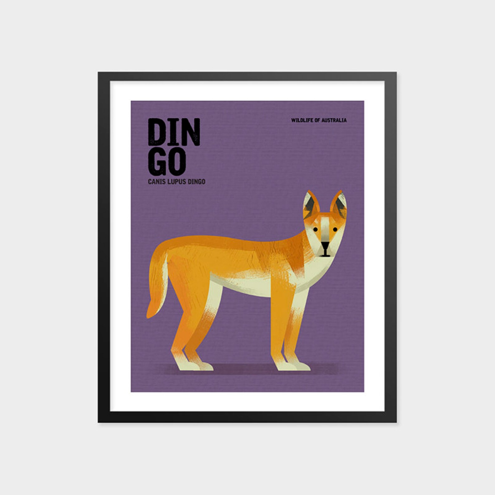DINGO, Animals of Australia, Nursery Art Print, Education Poster Print ...