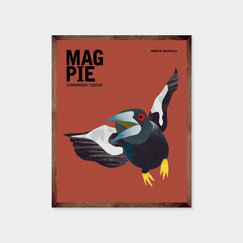 MAGPIE Birds of Australia, Australian Art Prints, Educational Poster ...