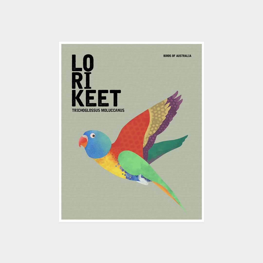 LORIKEET Birds of Australia, Rainbow Lorikeet, Australiana Art Prints ...