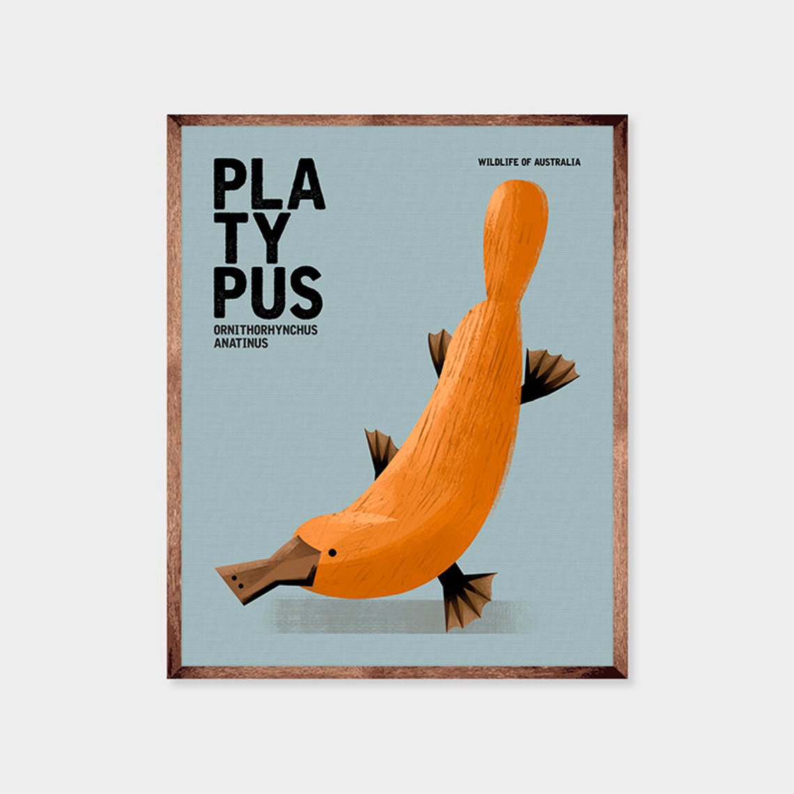 PLATYPUS, Wildlife of Australia, Nursery Art Print, Educational Kids ...